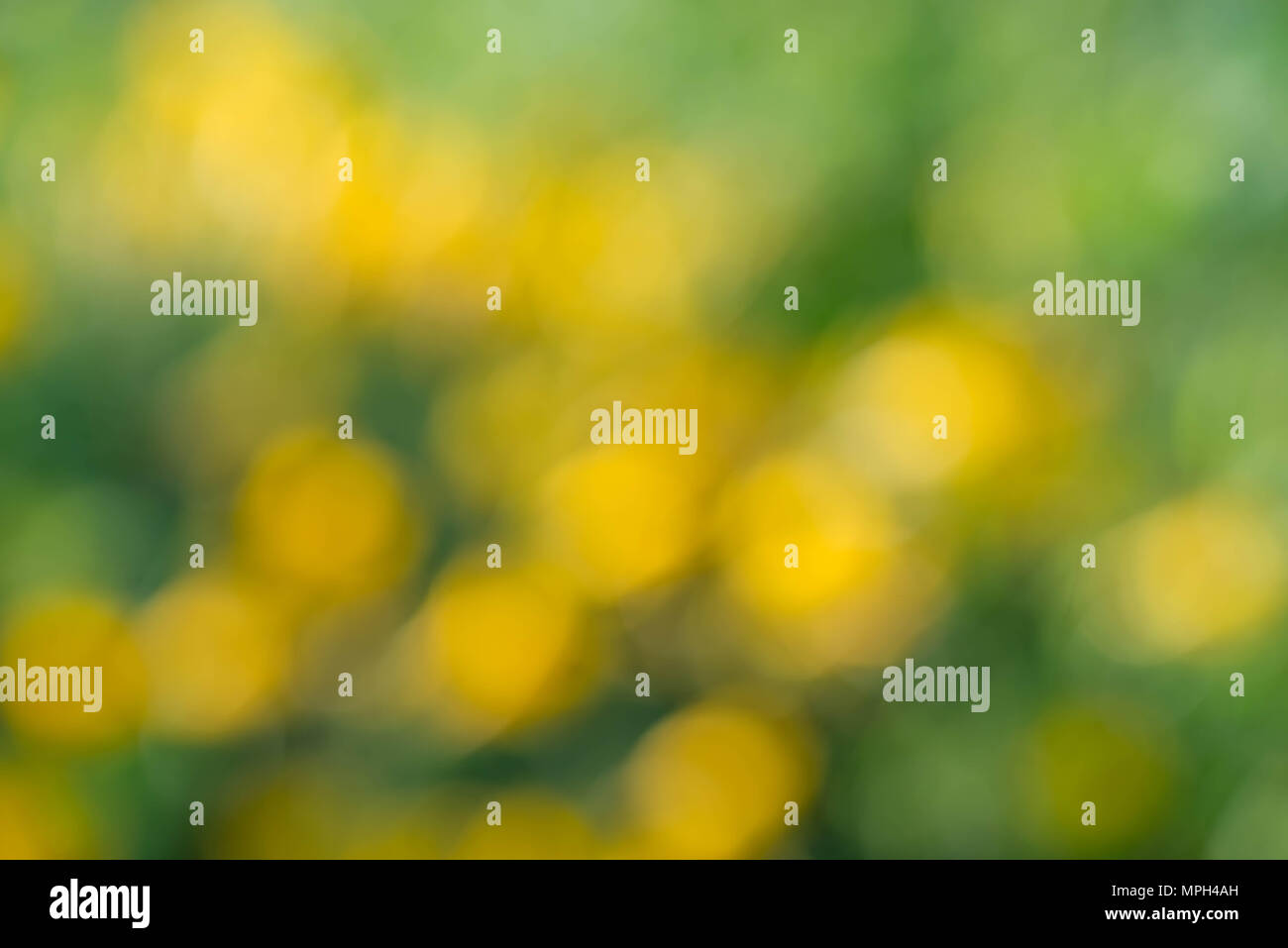 Blurred wildflower meadow background hi-res stock photography and images - Alamy