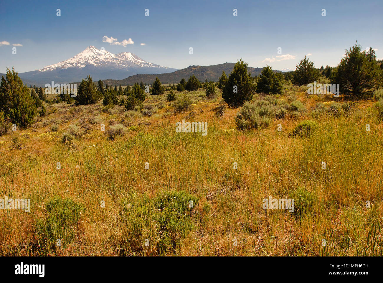 Native grasses hi-res stock photography and images - Alamy