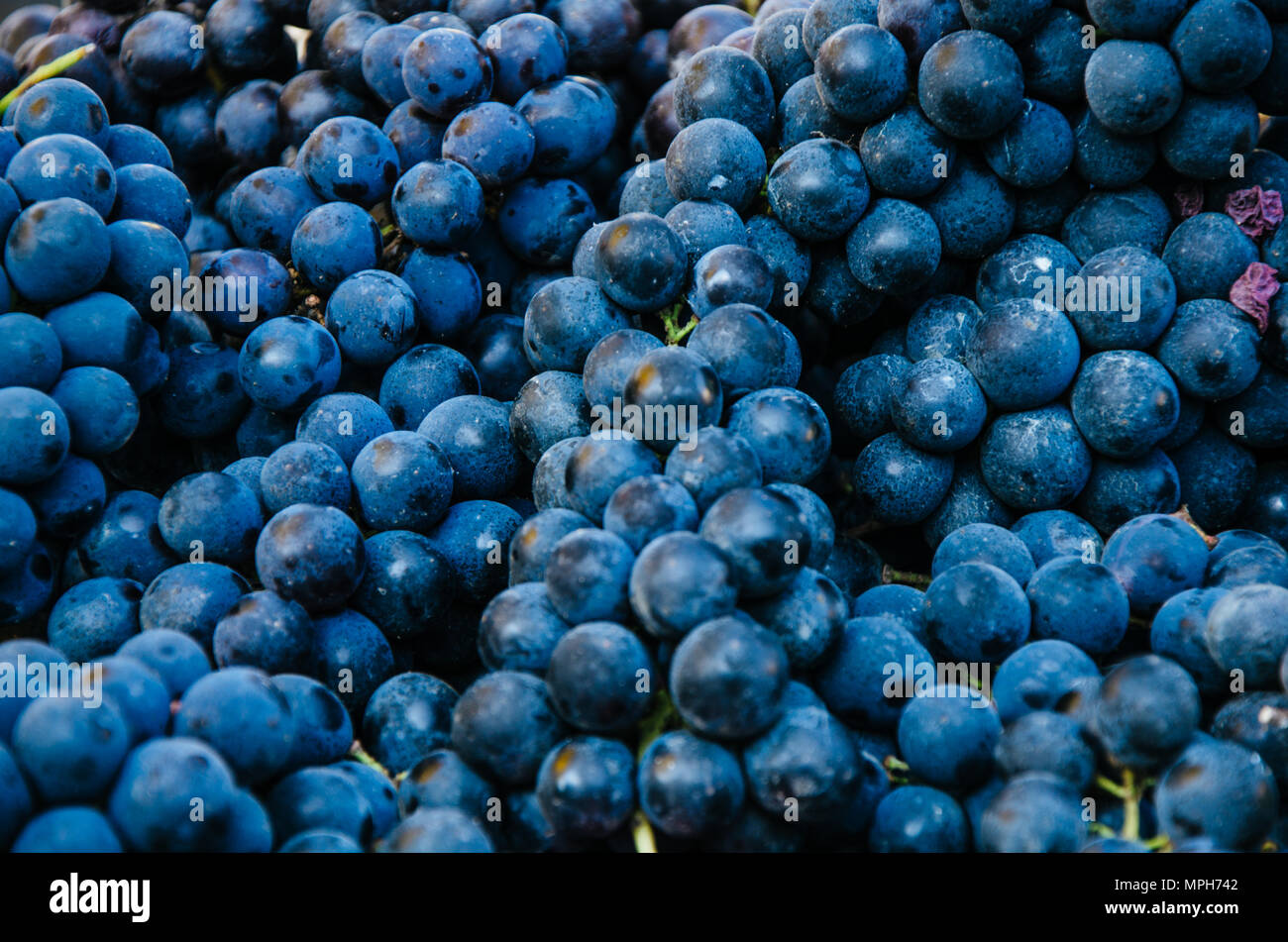 Organic blue hi-res stock photography and images - Alamy