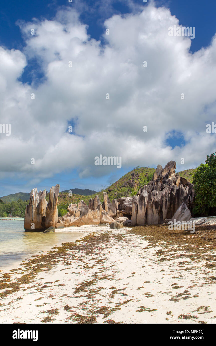 Curieuse hi-res stock photography and images - Alamy