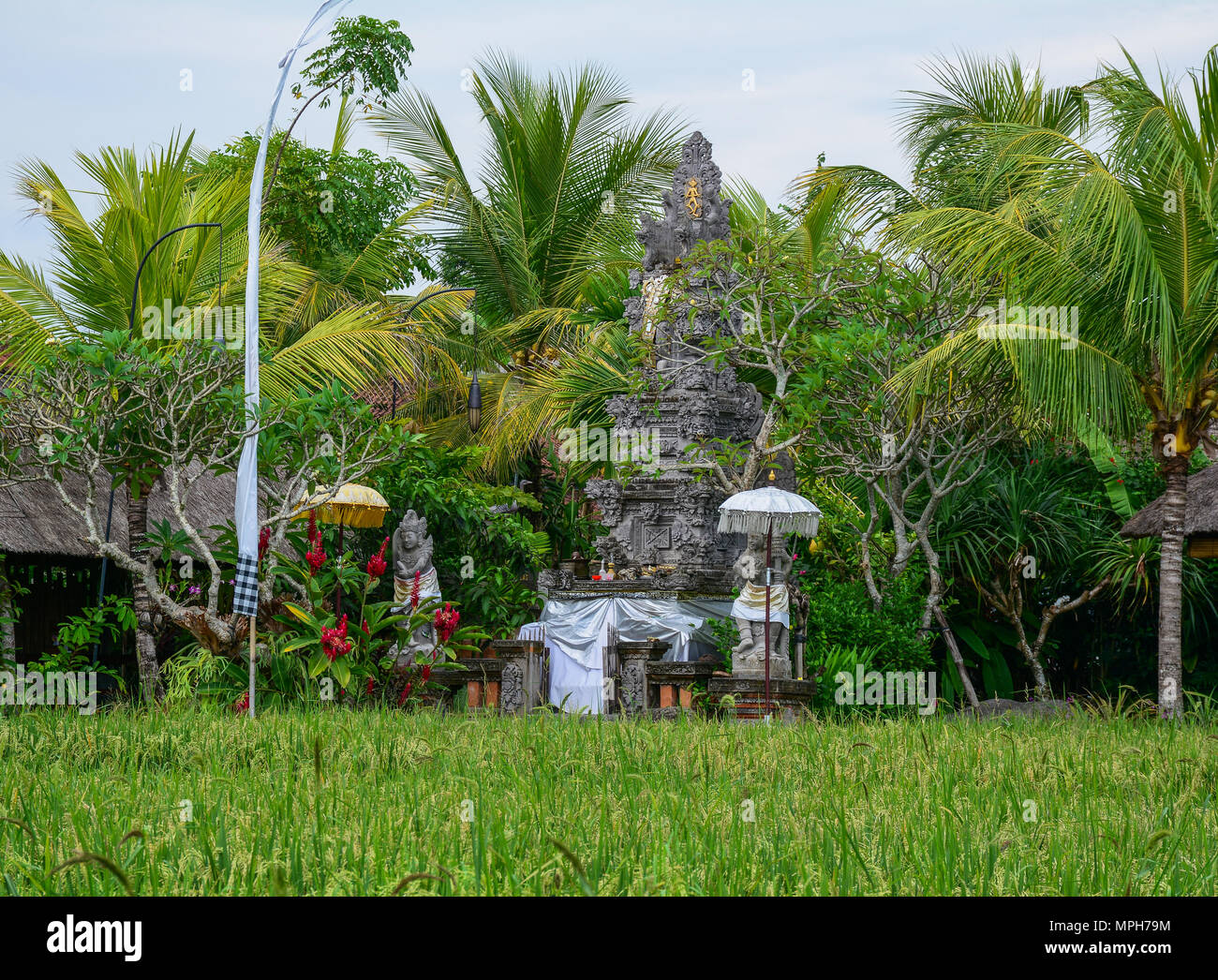 Ancient Hindu temple with rice field in Bali, Indonesia Stock Photo - Alamy