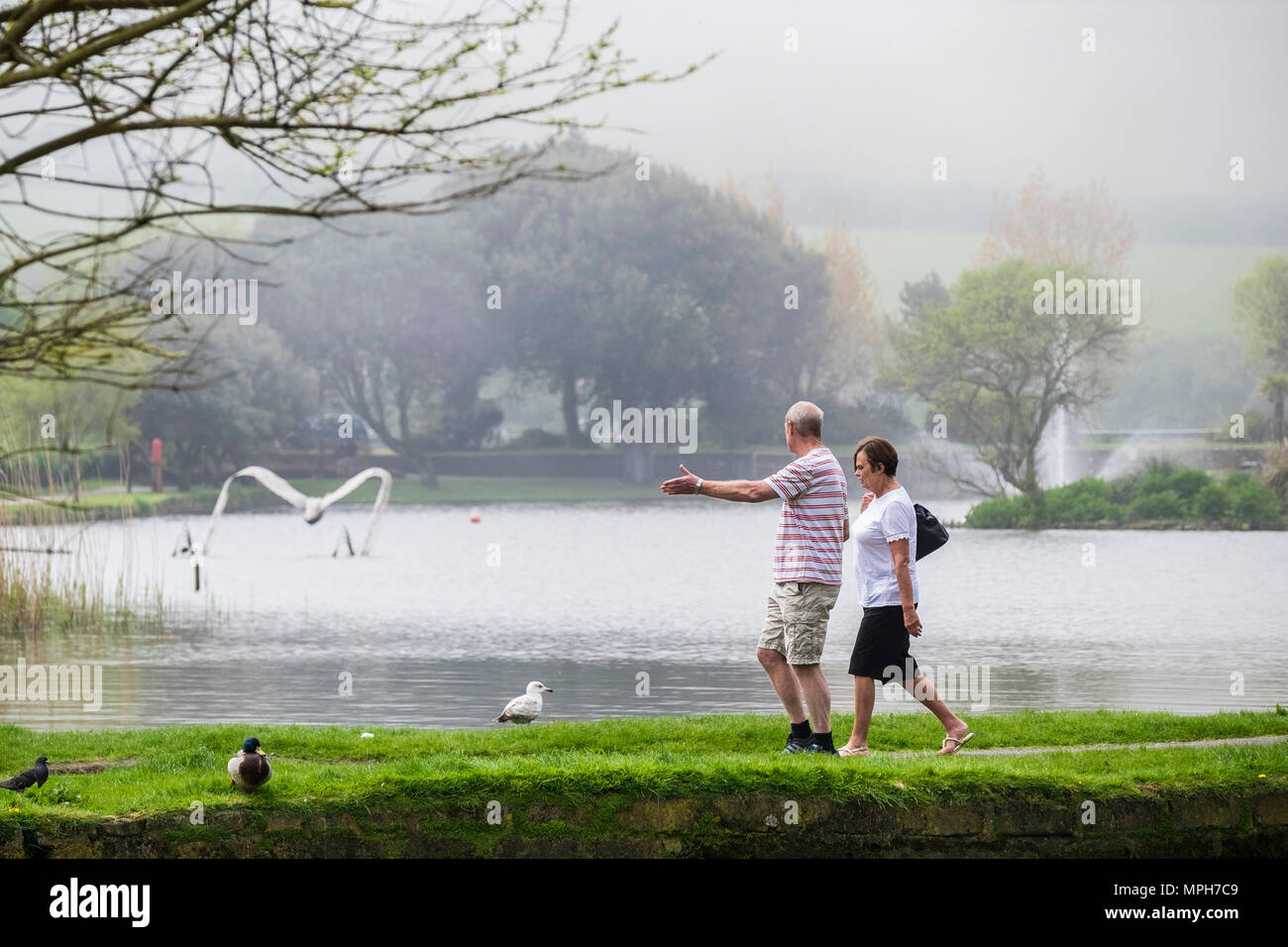 People walking around a lake in Newquay in Cornwall Stock Photo - Alamy