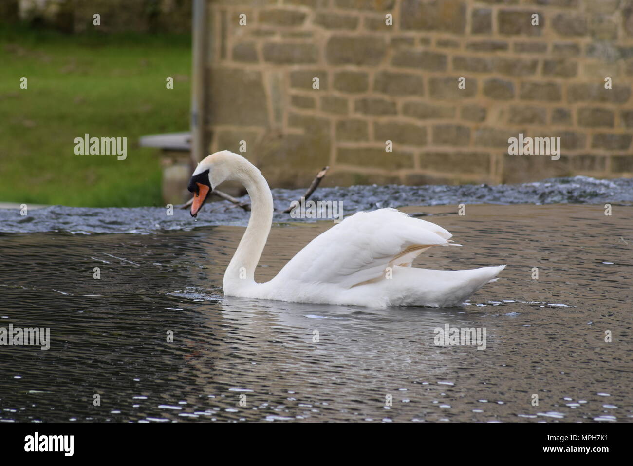 Peaceful contrast hi-res stock photography and images - Alamy