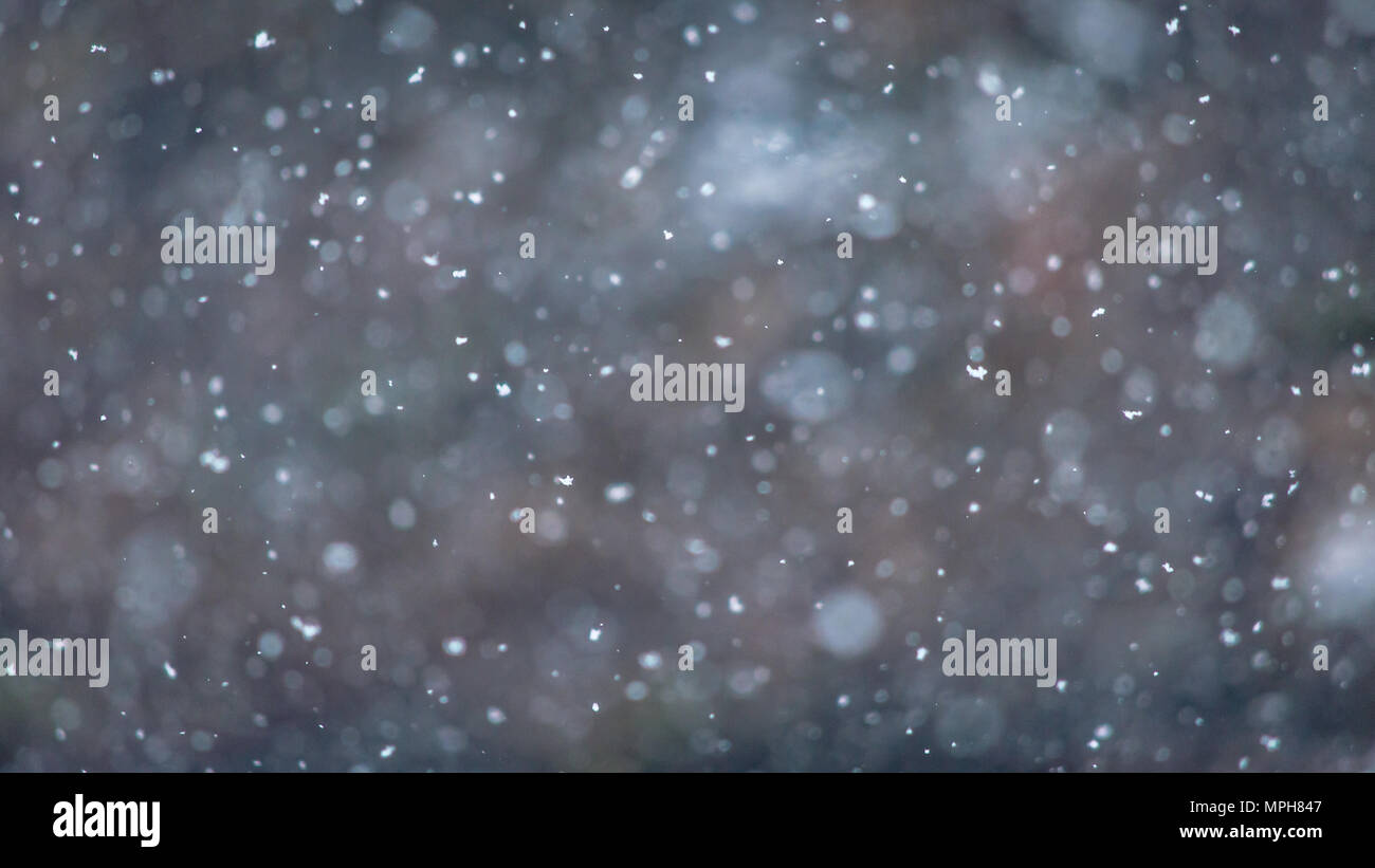 Winterscape with Natural snowfall background Stock Photo - Alamy