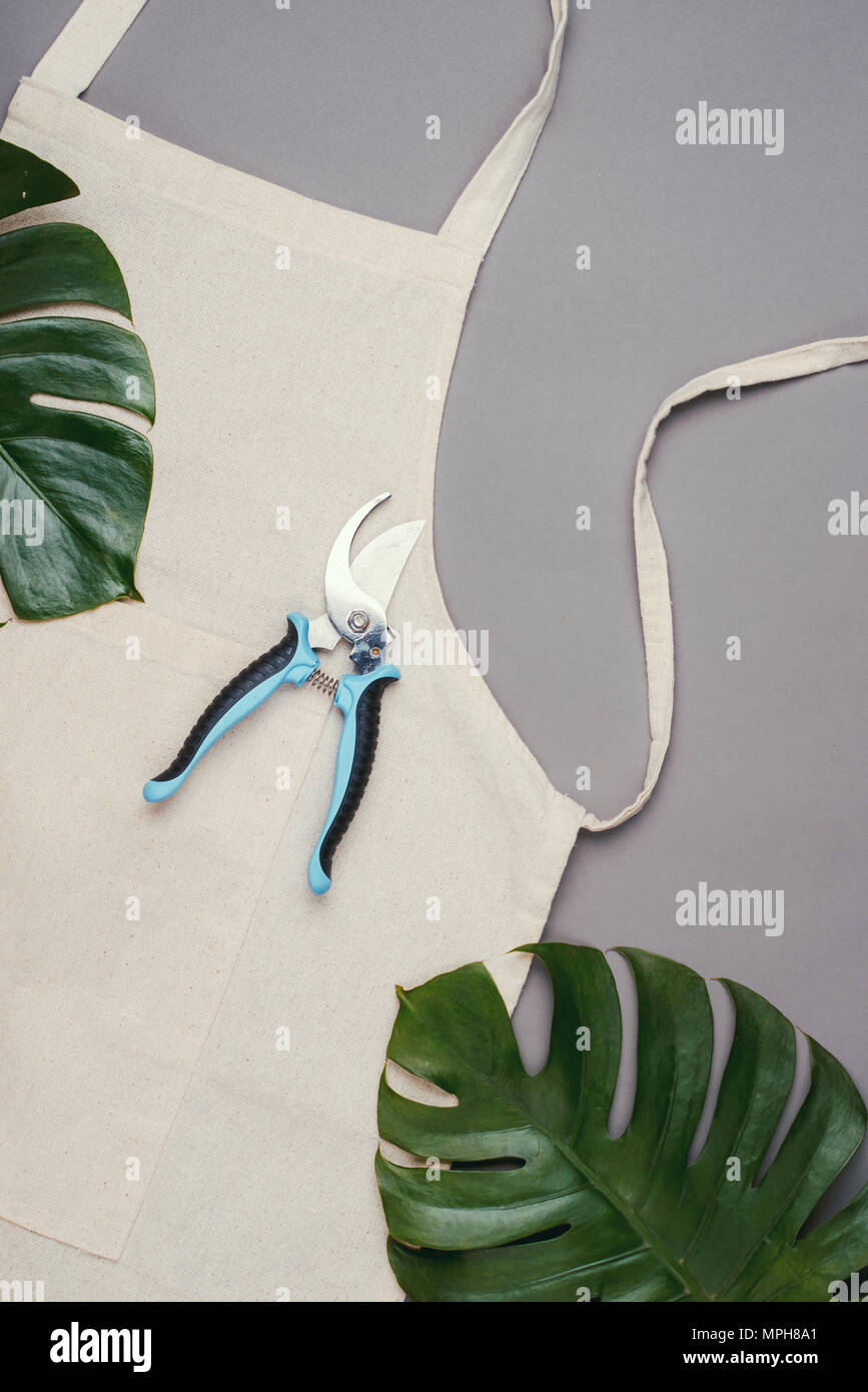 Apron with leaves and scissors on table. Top view Stock Photo - Alamy