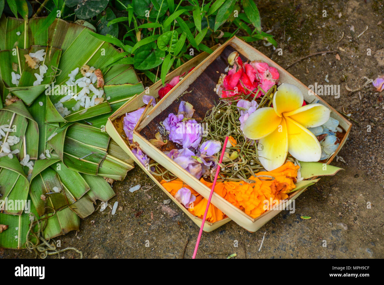 Hindu offerings and gifts to God in basket at the temple in Bali ...