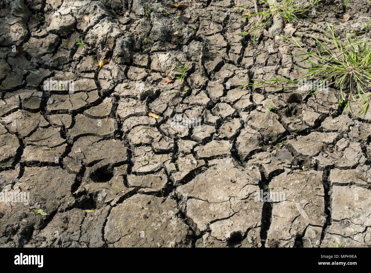 Cracked dry ground Stock Photo - Alamy