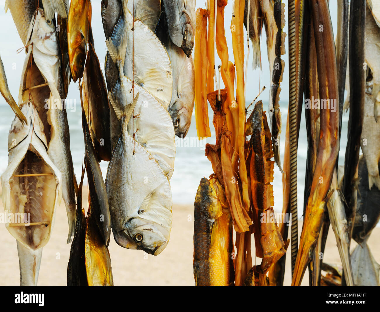 Dried fish of different species hanging on a thread Stock Photo - Alamy