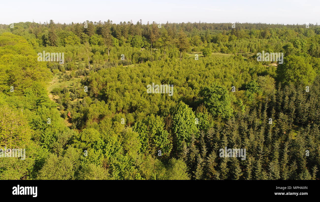 Aerial photo of Gødding Skov near Billund in Denmark Stock Photo - Alamy