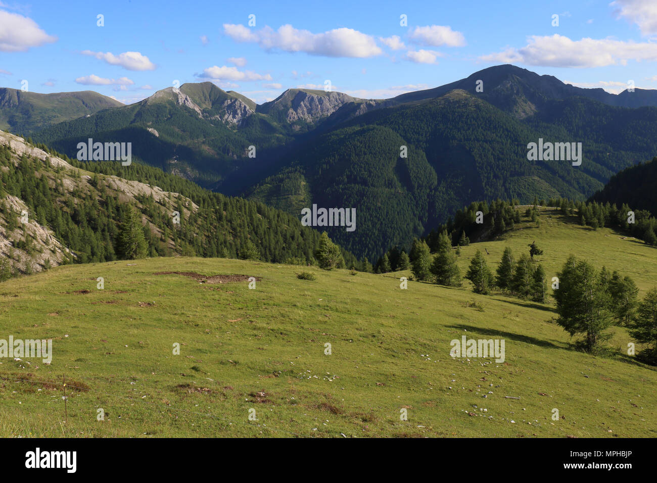 Alpine grassland at the Eisentalhöhe, the tallest peak along the ...