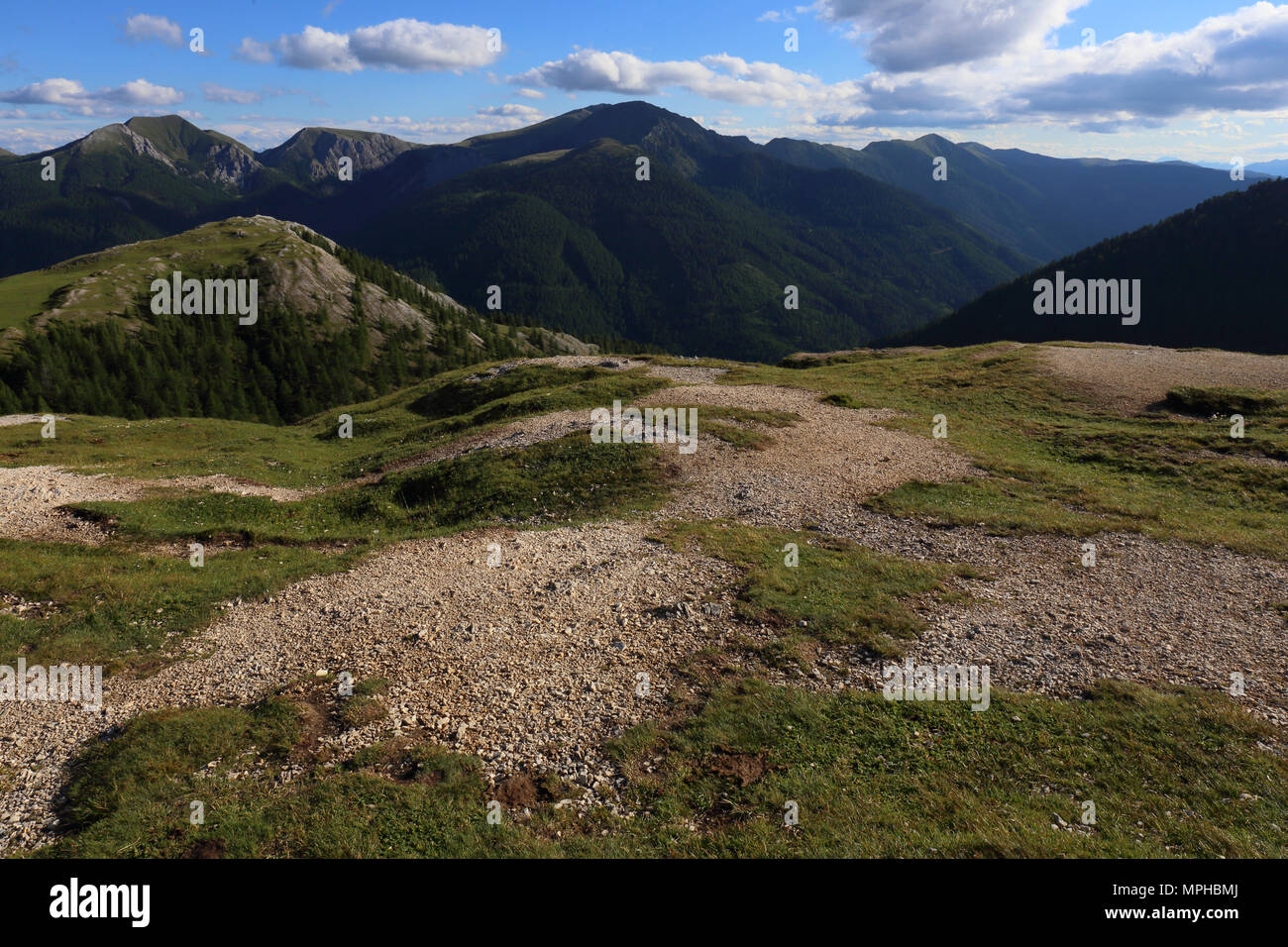 Alpine grassland at the Eisentalhöhe, the tallest peak along the ...