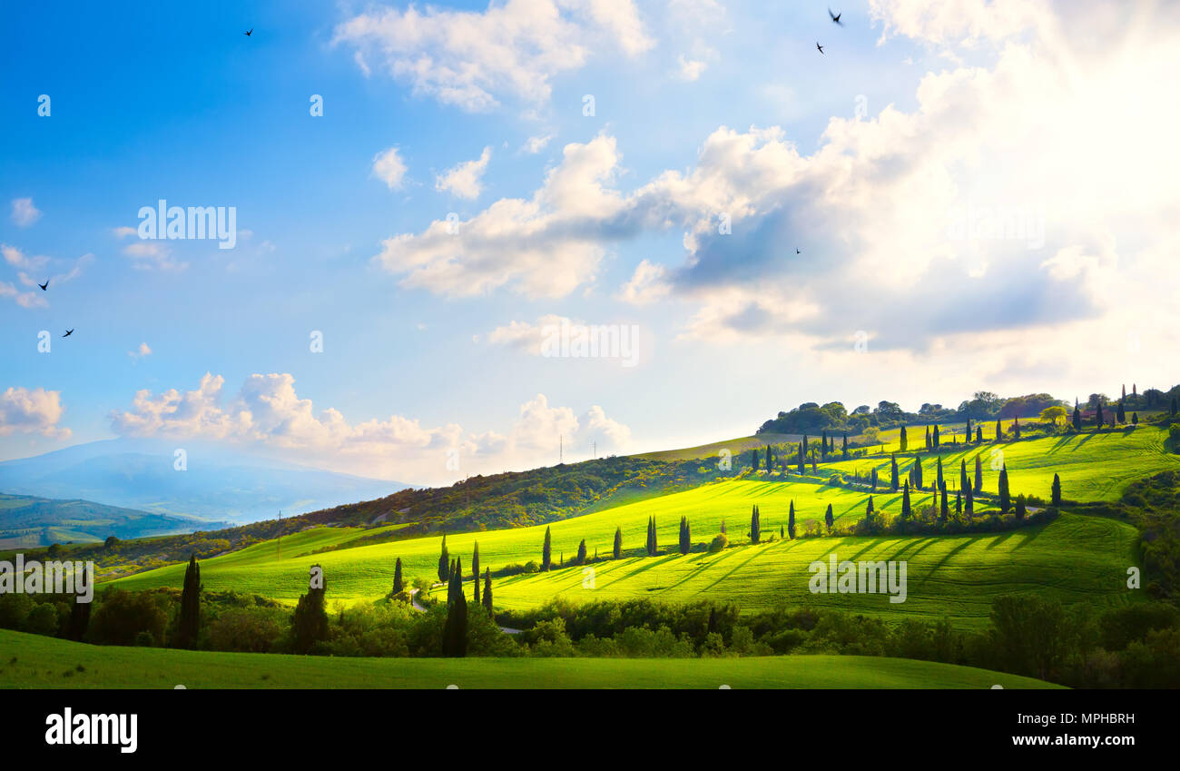 Hillside road hi-res stock photography and images - Alamy