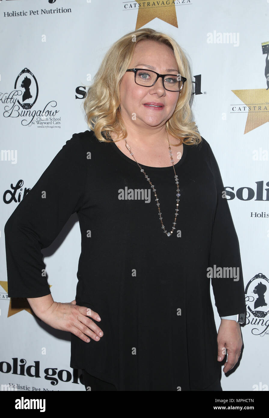 Kitty Bungalow Charm School for Wayward Cats presents Hamilton’s Cats ...