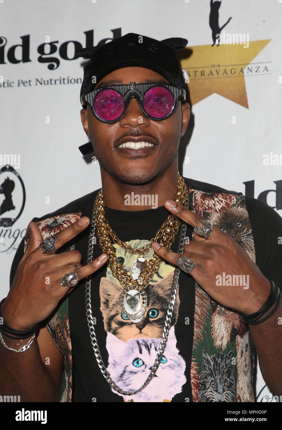 Kitty Bungalow Charm School for Wayward Cats presents Hamilton’s Cats ...