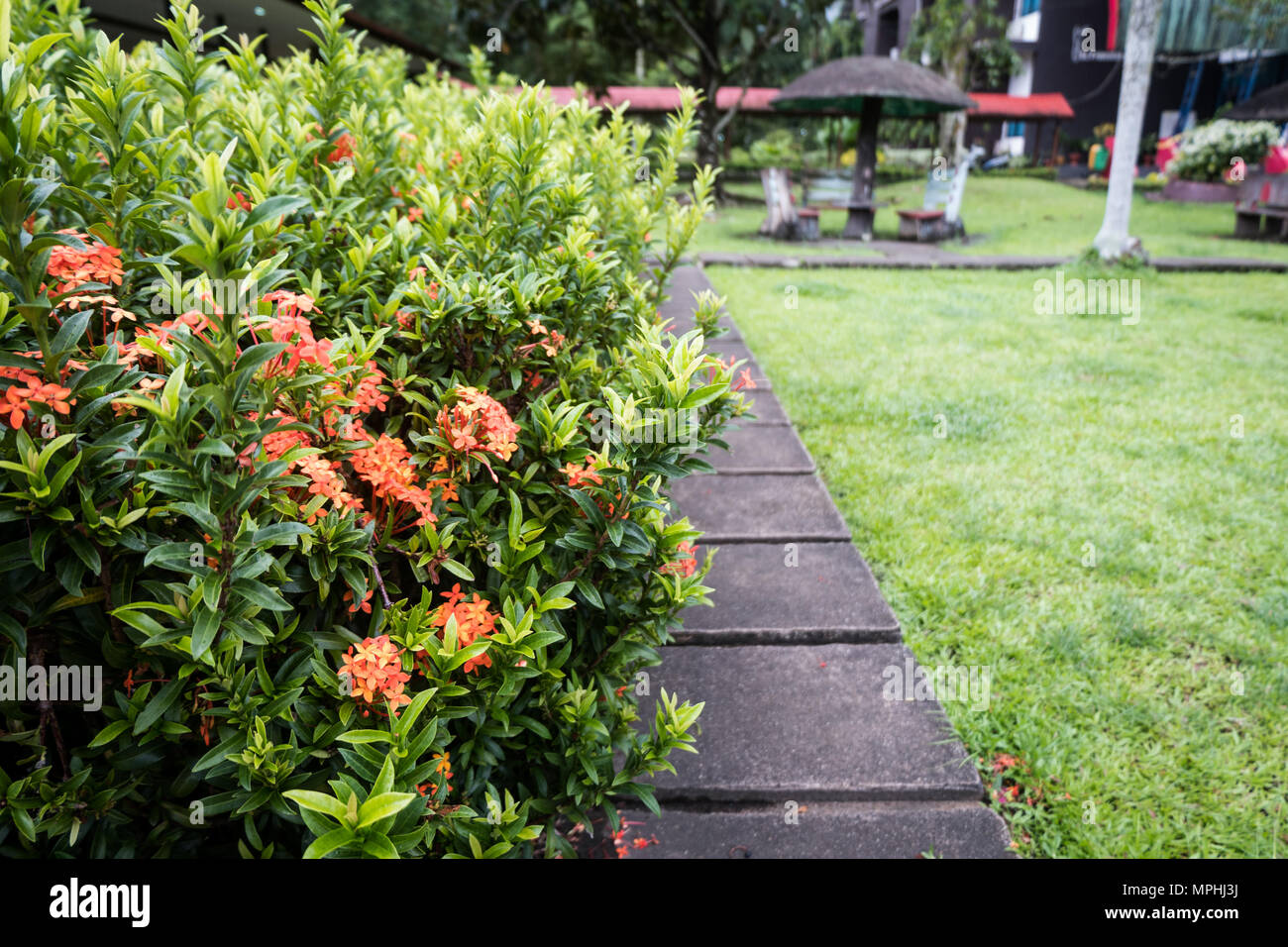 Floral walkway hi-res stock photography and images - Alamy