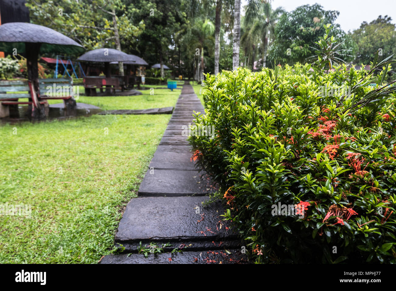 Garden road hi-res stock photography and images - Alamy