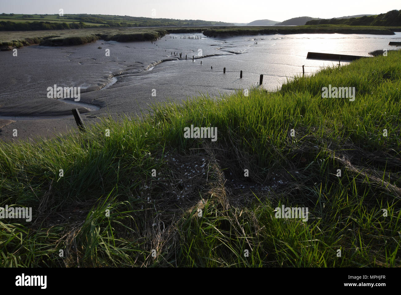 Habitat geography hi-res stock photography and images - Alamy