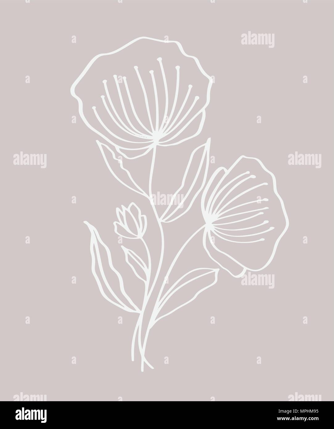 Hand drawn modern flowers drawing and sketch floral with line-art ...