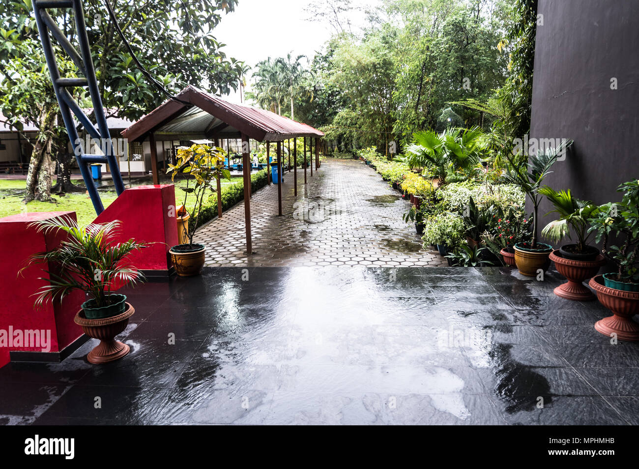 Wet terrace at the morning Stock Photo - Alamy