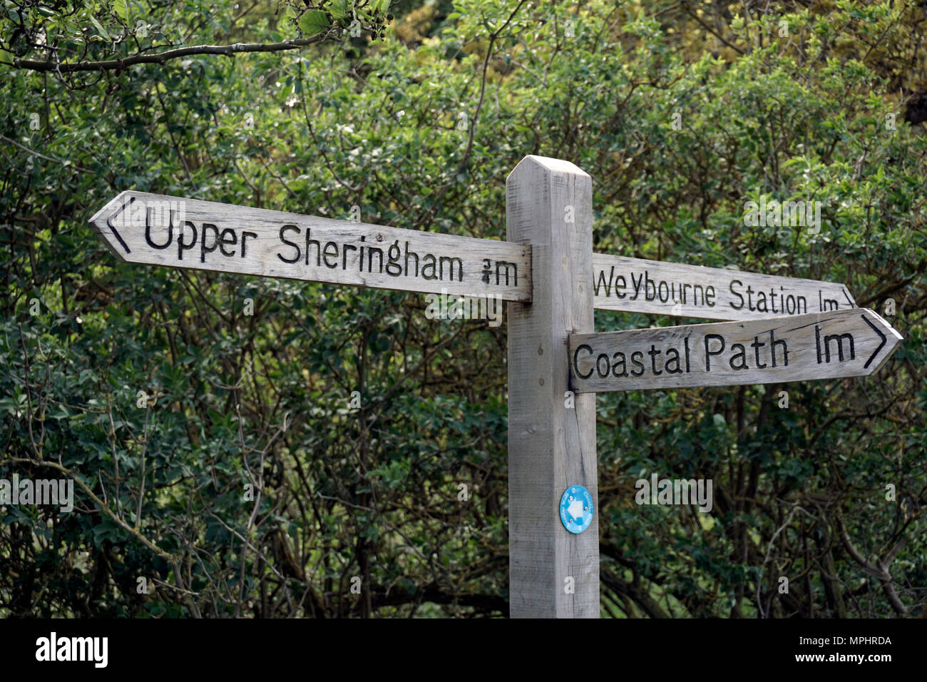 Orienteering tourism hi-res stock photography and images - Alamy