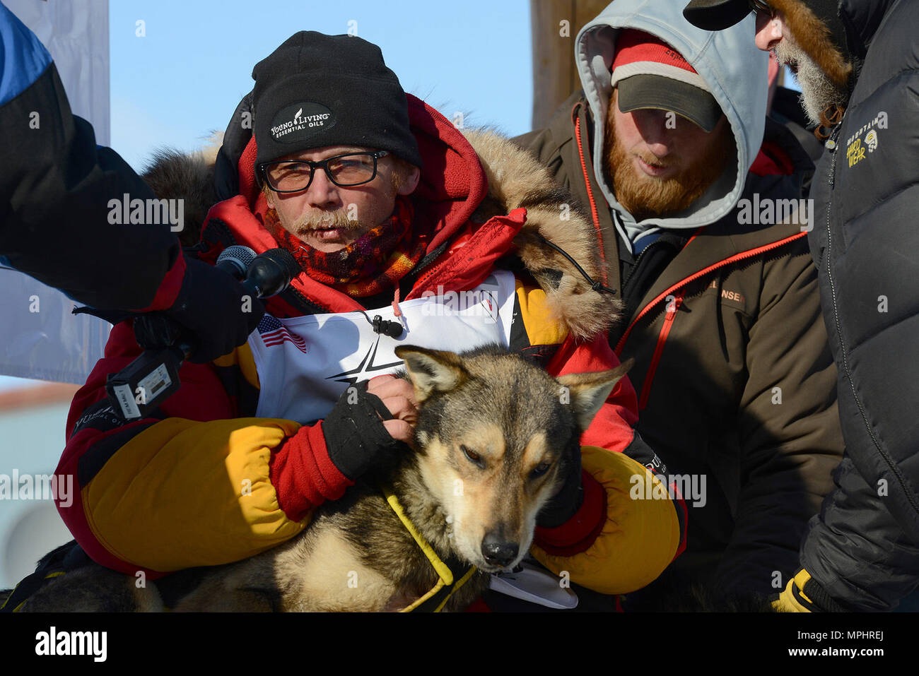 Iditarod 2017 finish line hi-res stock photography and images - Alamy