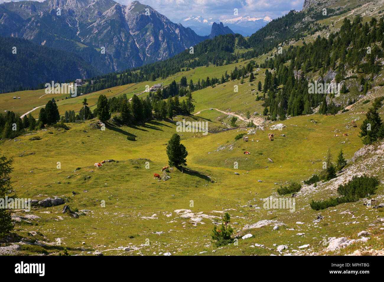 Val Pusteria, Dolomite 3 - Italy Stock Photo - Alamy