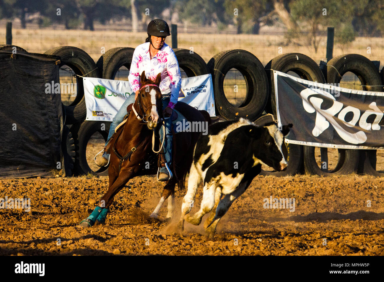 Campdraft hi-res stock photography and images - Alamy