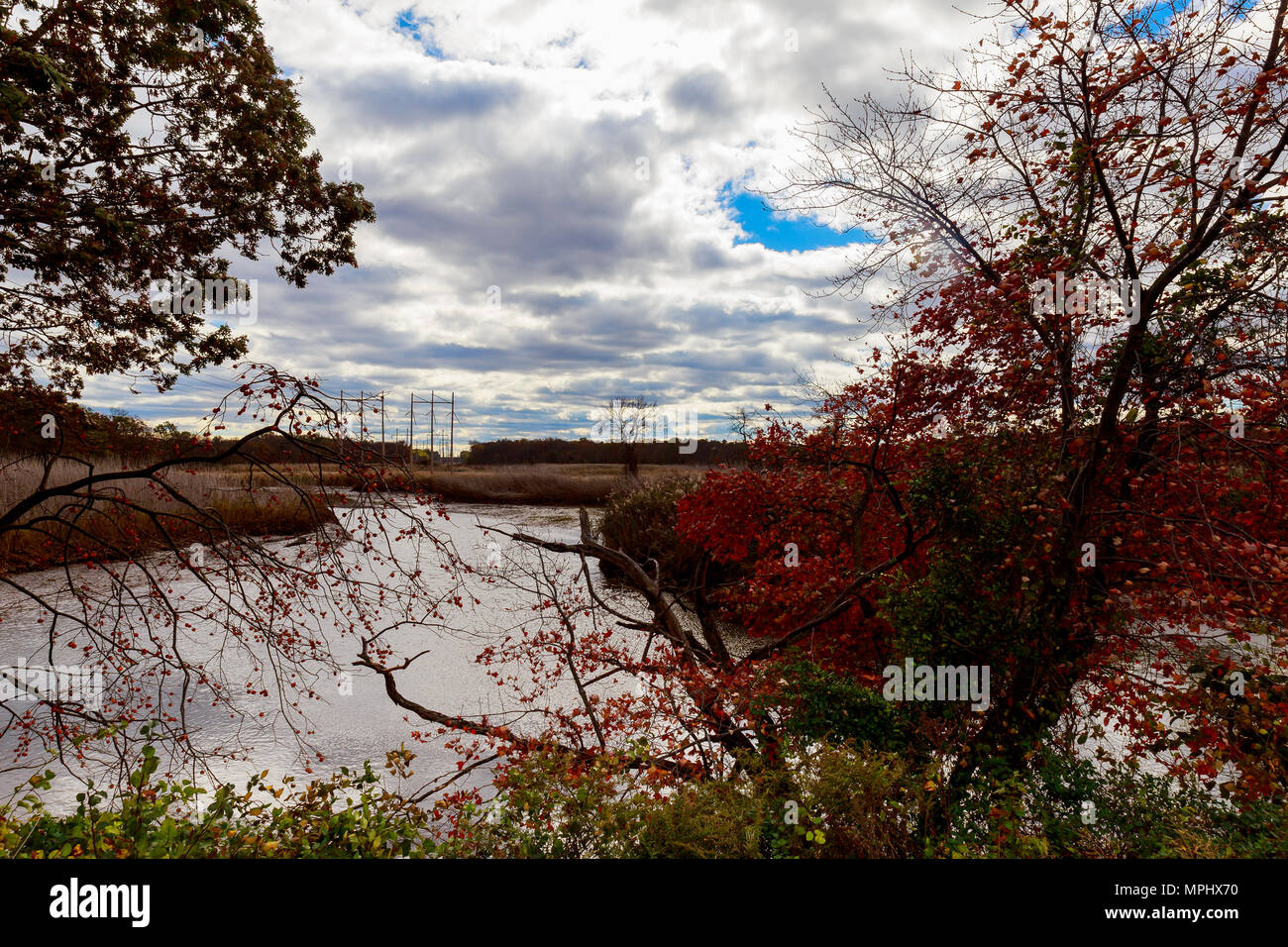 autumn landscape of river and trees without leaves blue sky clouds on a ...