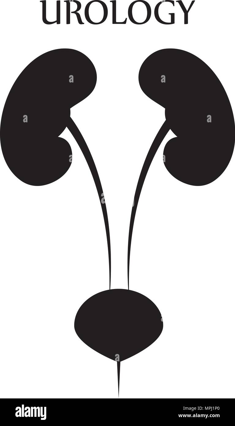 illustration of the kidneys, ureters and bladder. silhouette emblem ...