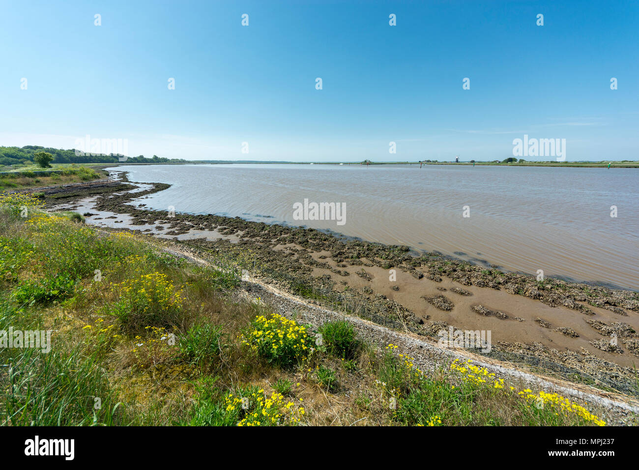 Breydon water hi-res stock photography and images - Alamy