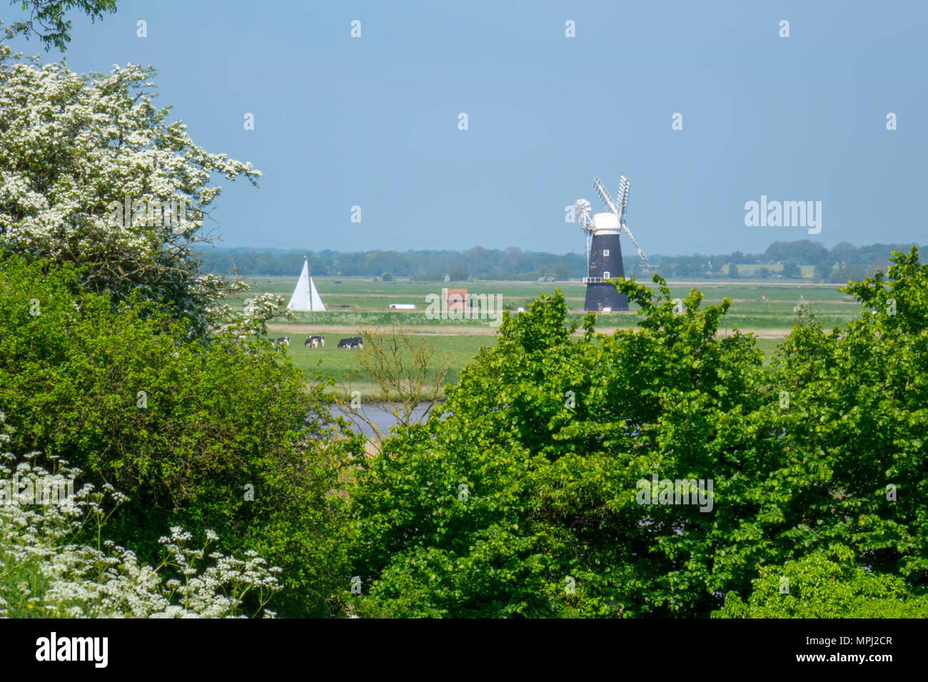 Berney Arms Windmill Stock Photo - Alamy