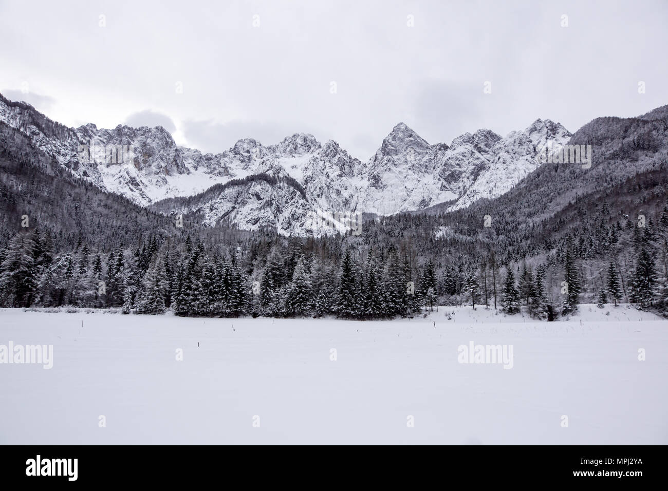 View of snowy mountain hi-res stock photography and images - Alamy