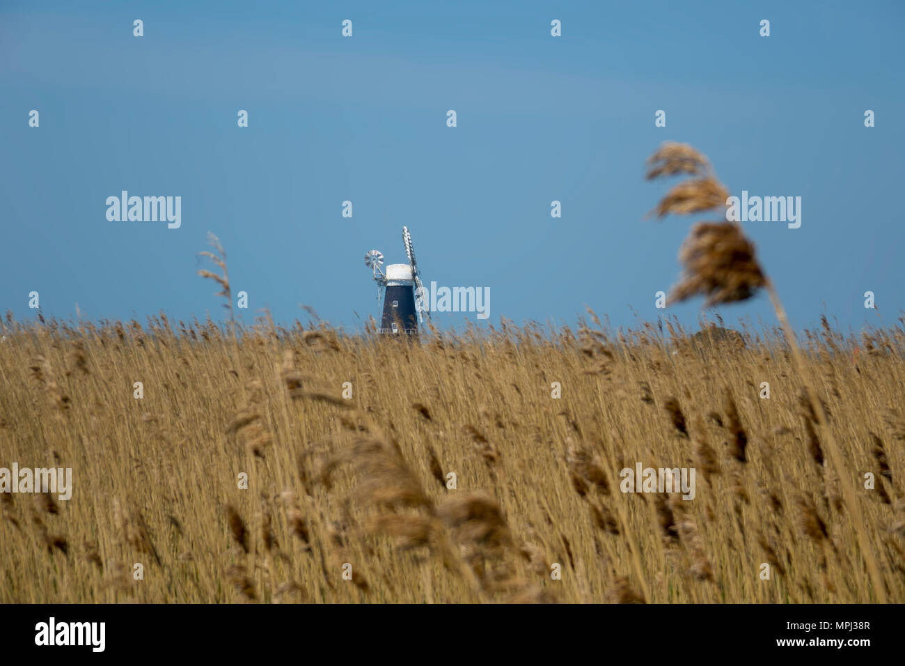 Windmill drainage hi-res stock photography and images - Alamy