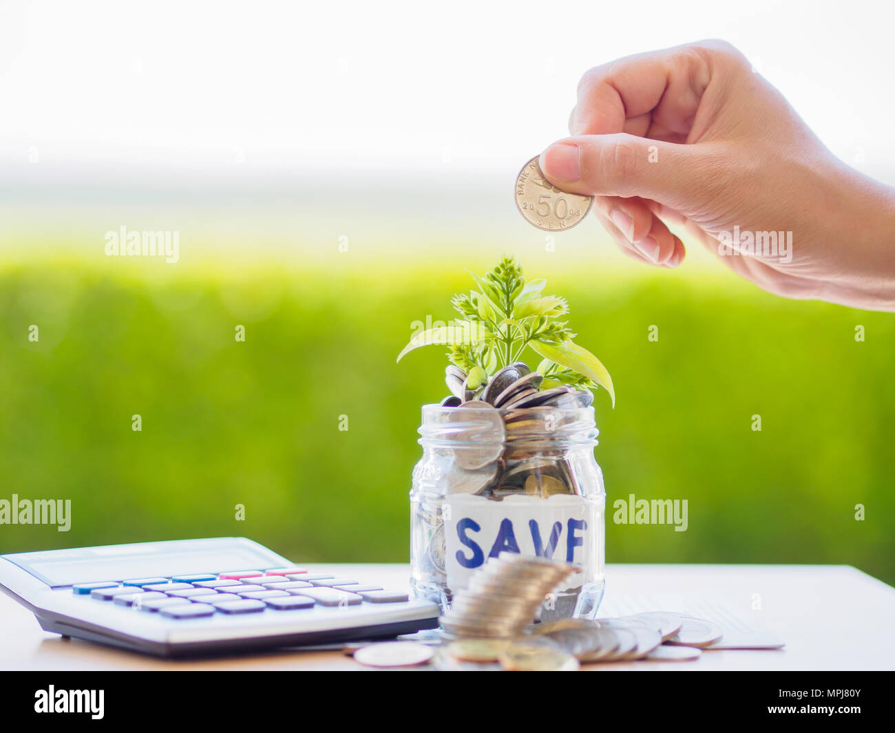 abstract money saving small baby tree with glass jar Coins with ...