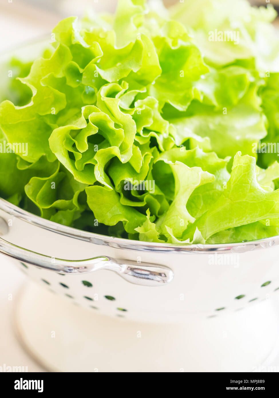 Fresh greens lettuce in kitchen hi-res stock photography and images - Alamy