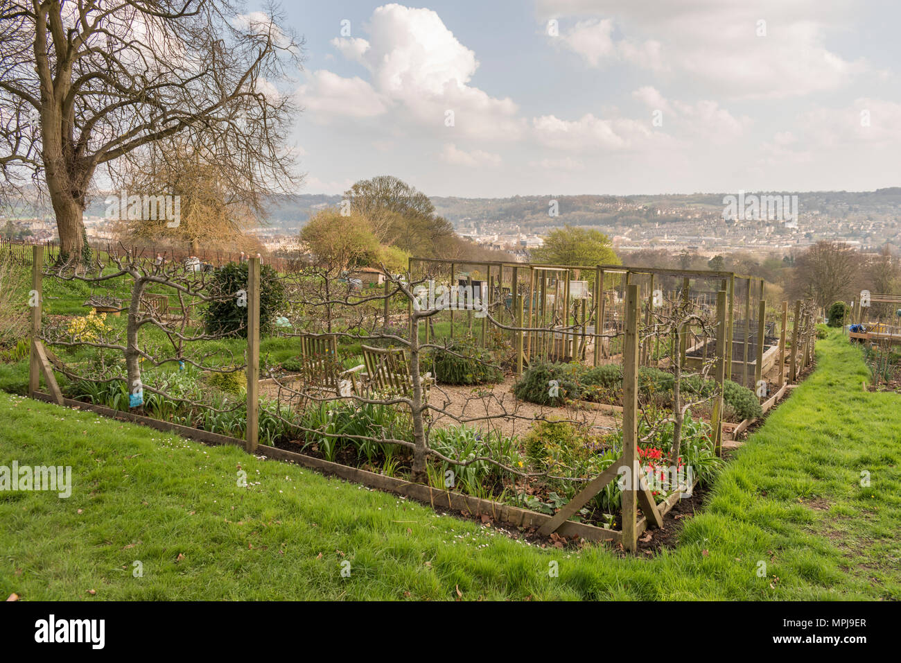 Allotment hi-res stock photography and images - Alamy