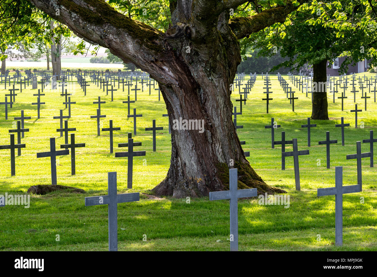 German cemetery hi-res stock photography and images - Alamy