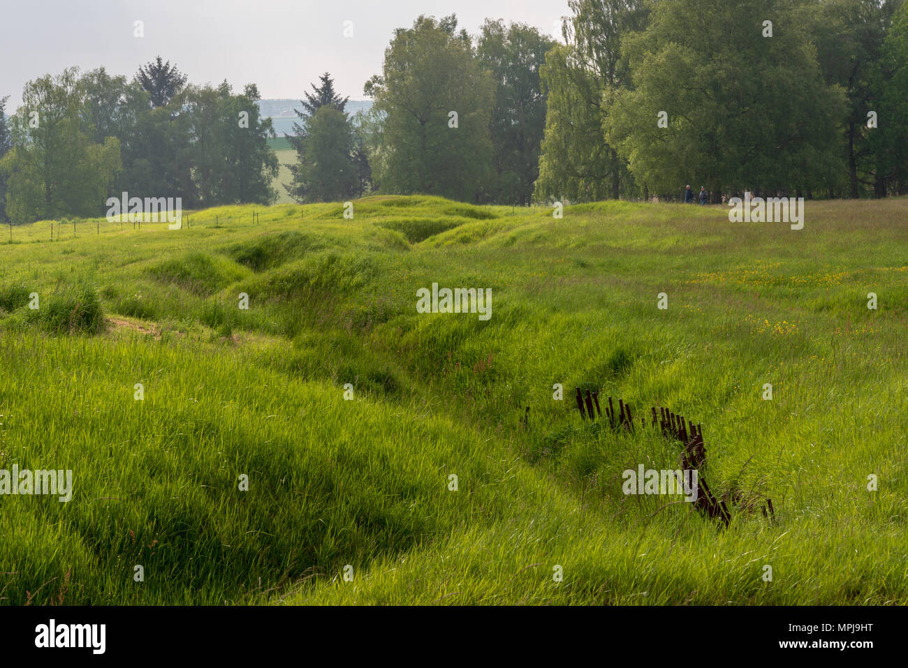 Original preserved trenches and shell crater in Newfoundland Memorial ...