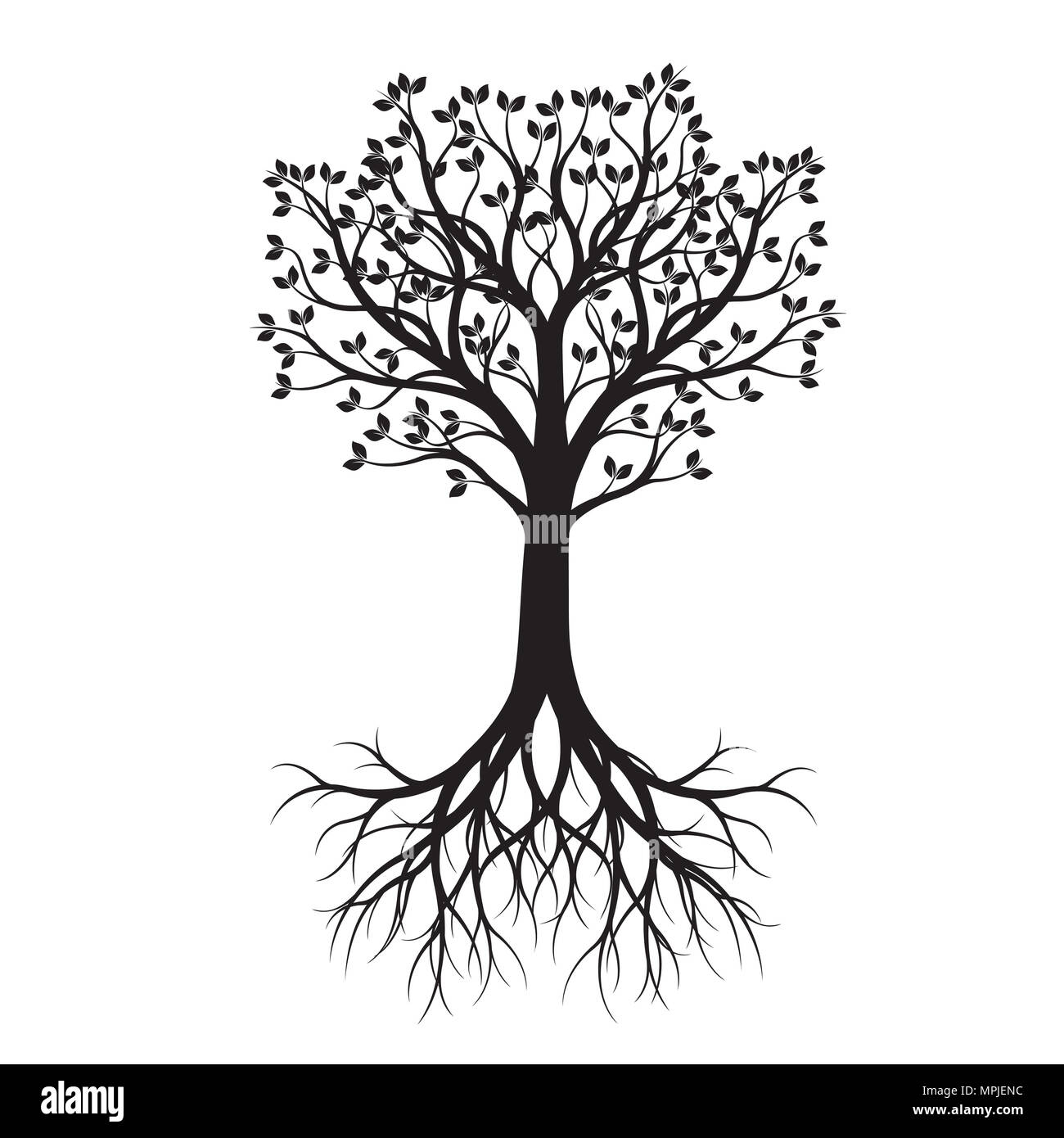 Tree Root Illustration Stock Photos & Tree Root Illustration Stock ...