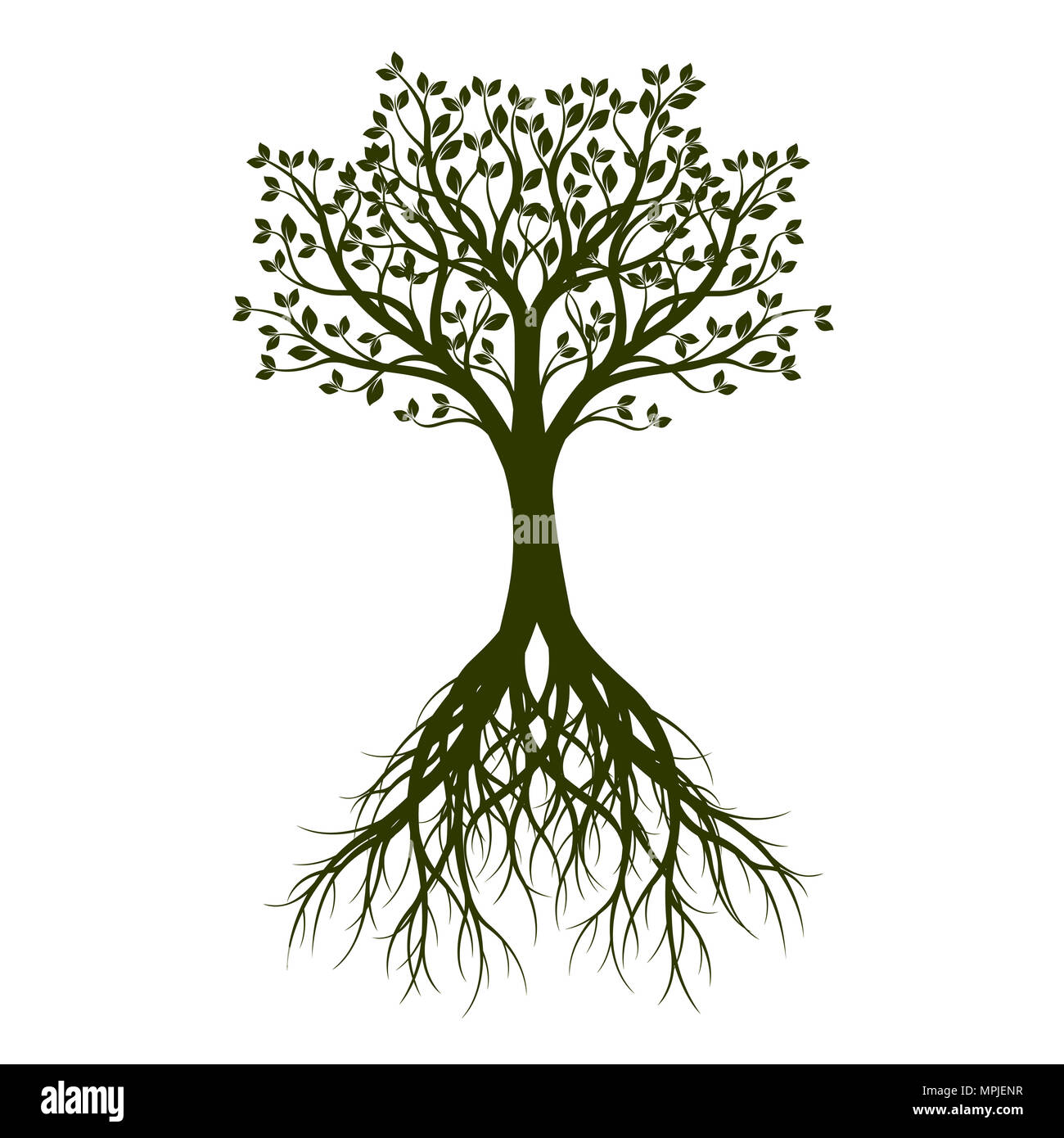 Root label hi-res stock photography and images - Alamy