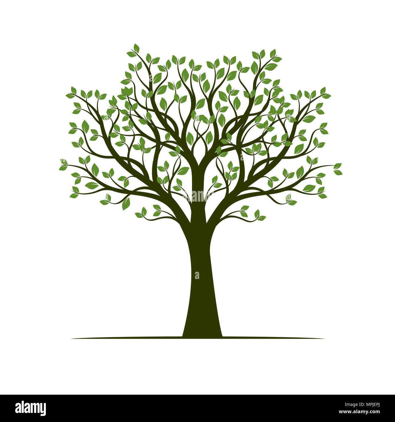 Green Spring Tree. Vector Illustration. Plant in garden Stock Photo - Alamy