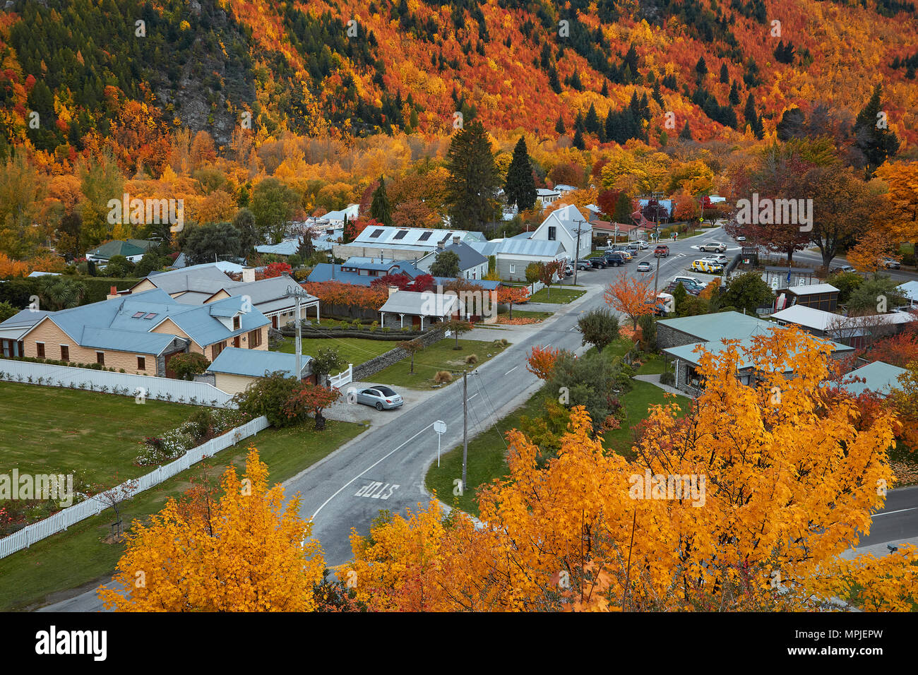 Autumn trees, Arrowtown, near Queenstown, Otago, South Island, New ...