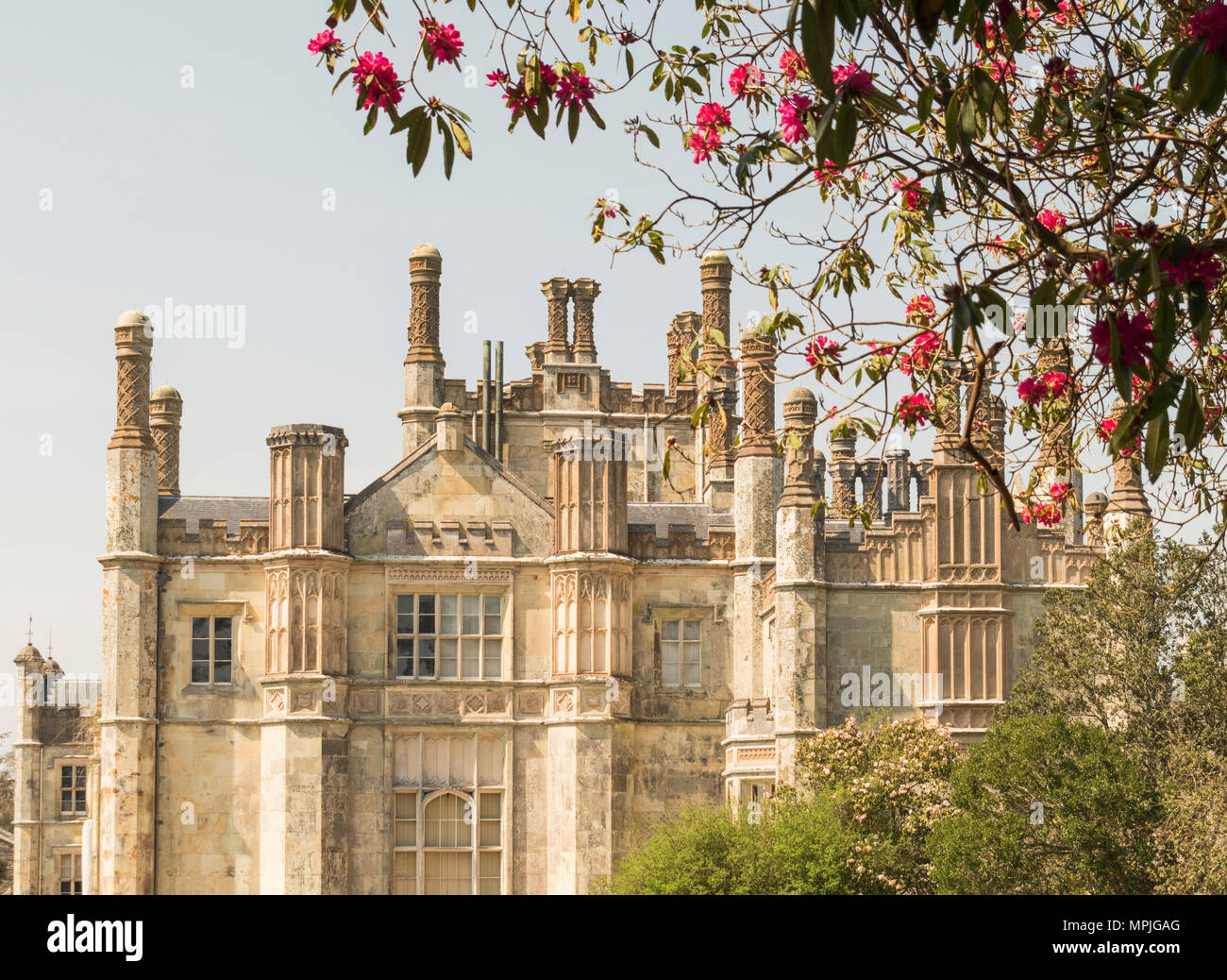 Open Garden charity event at Tregothnan Estate, Cornwall, UK Stock ...