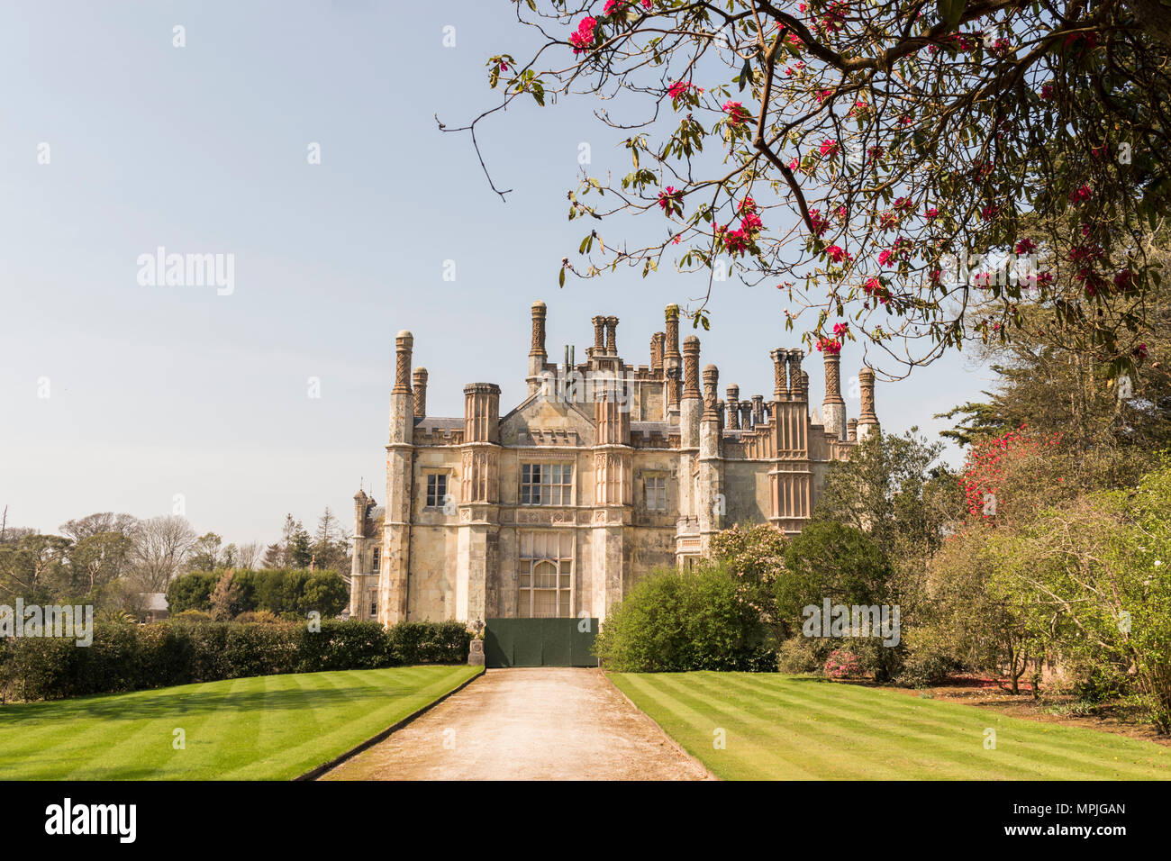 Rhododendrons garden house hi-res stock photography and images - Alamy