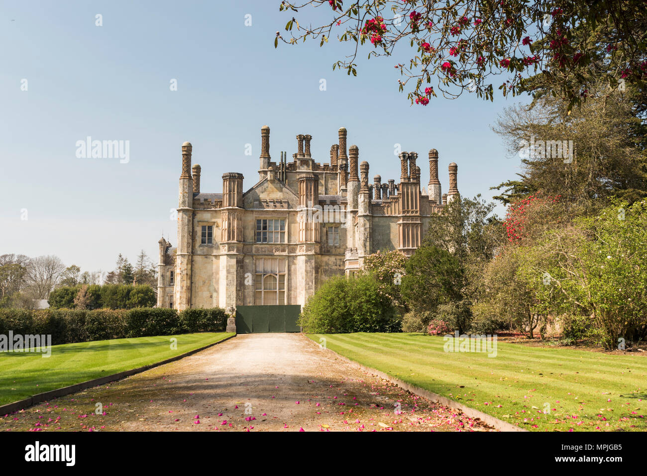 Rhododendrons Garden House Stock Photos & Rhododendrons Garden House ...