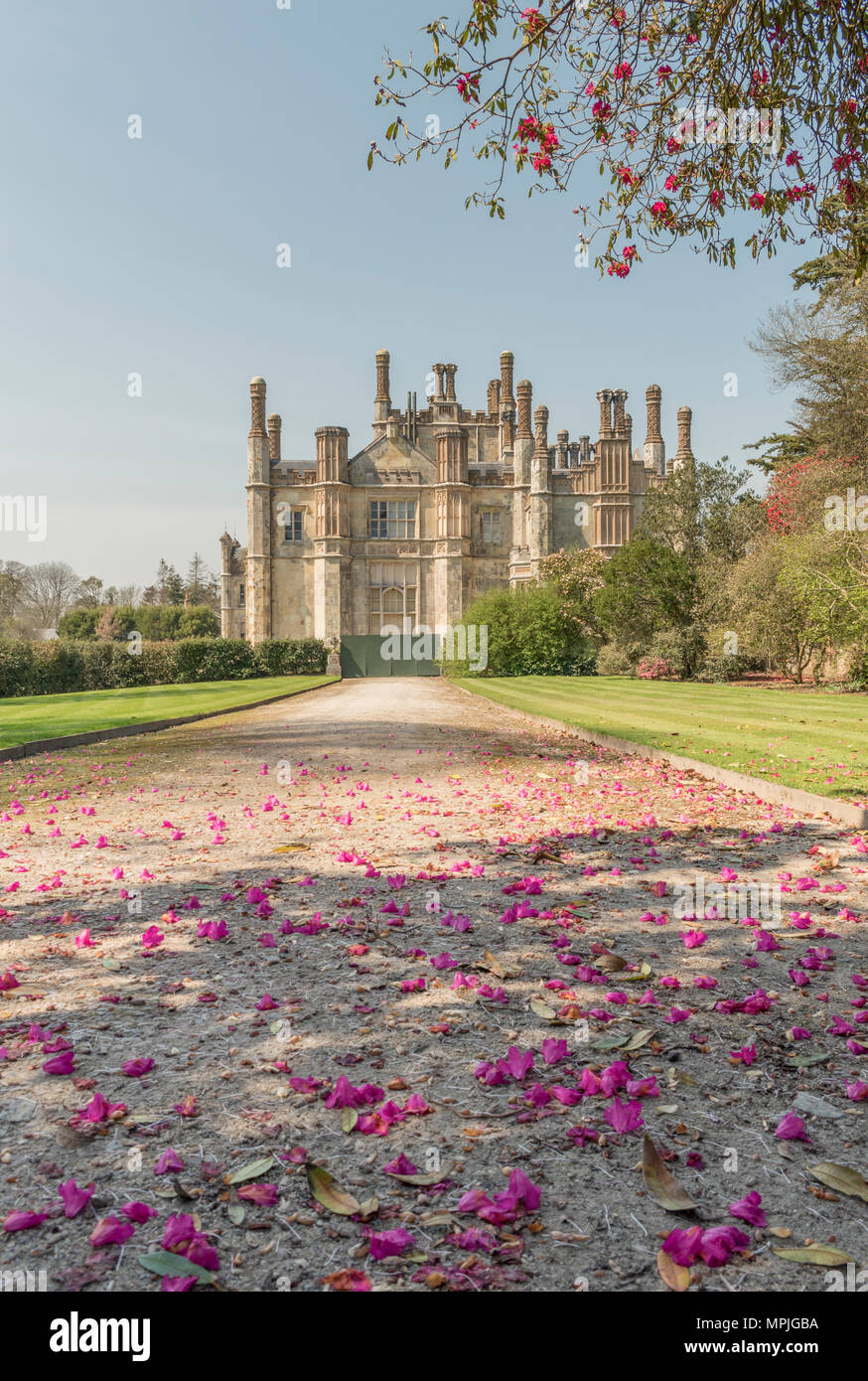 Open Garden charity event at Tregothnan Estate, Cornwall, UK Stock ...