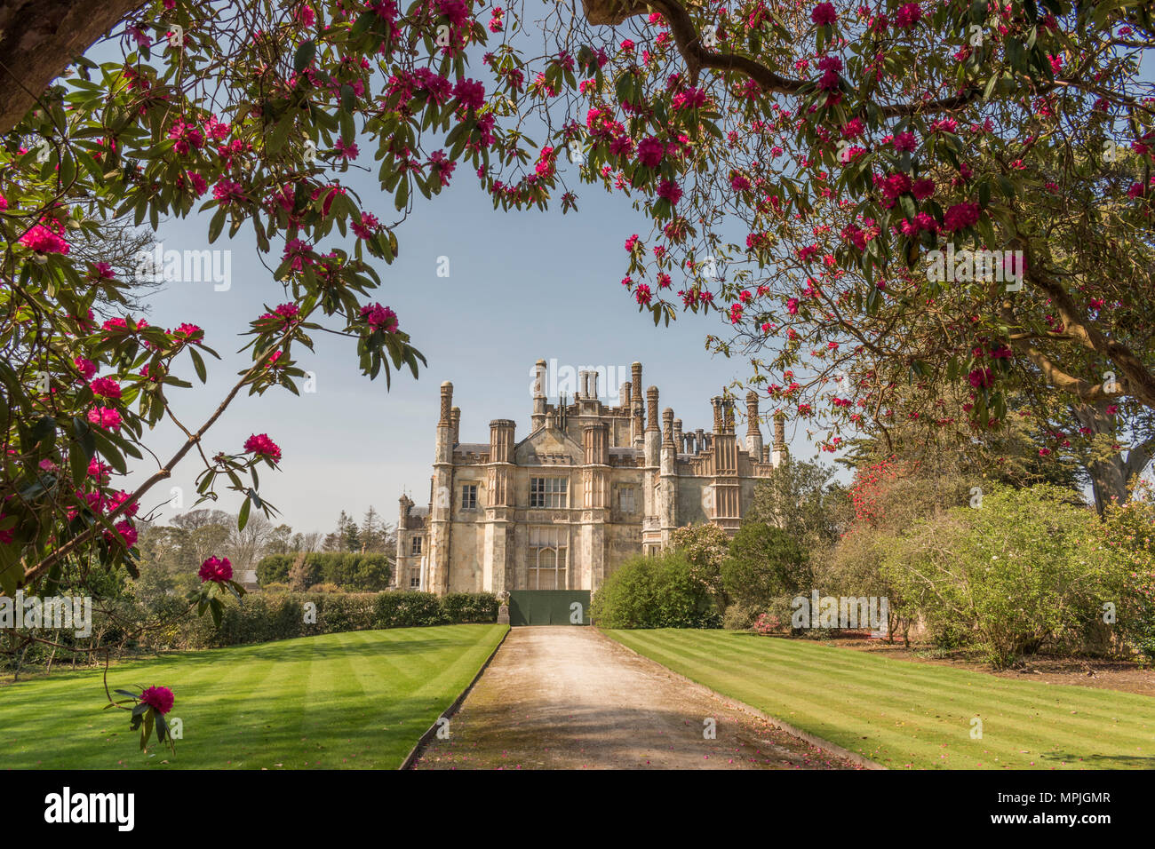 Tregothnan hi-res stock photography and images - Alamy