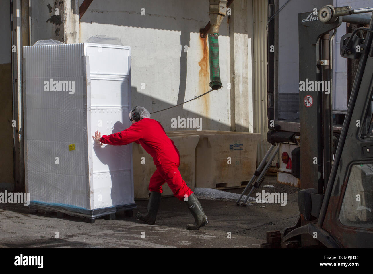 Fish packing plant hi-res stock photography and images - Alamy
