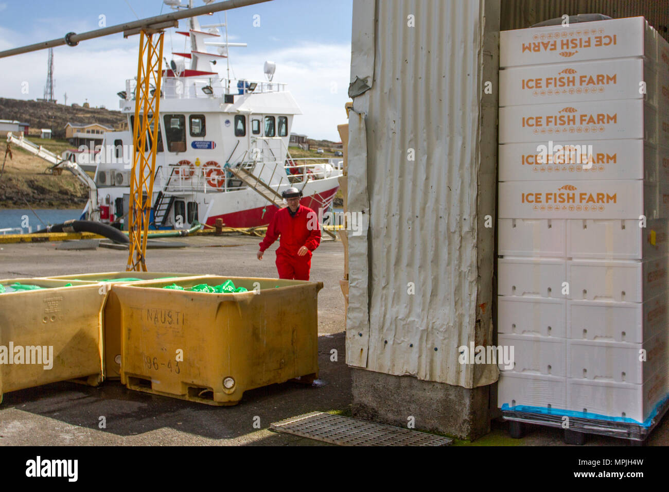 Ice Fish Farm; Fish farms producing herring s a relatively new concept ...