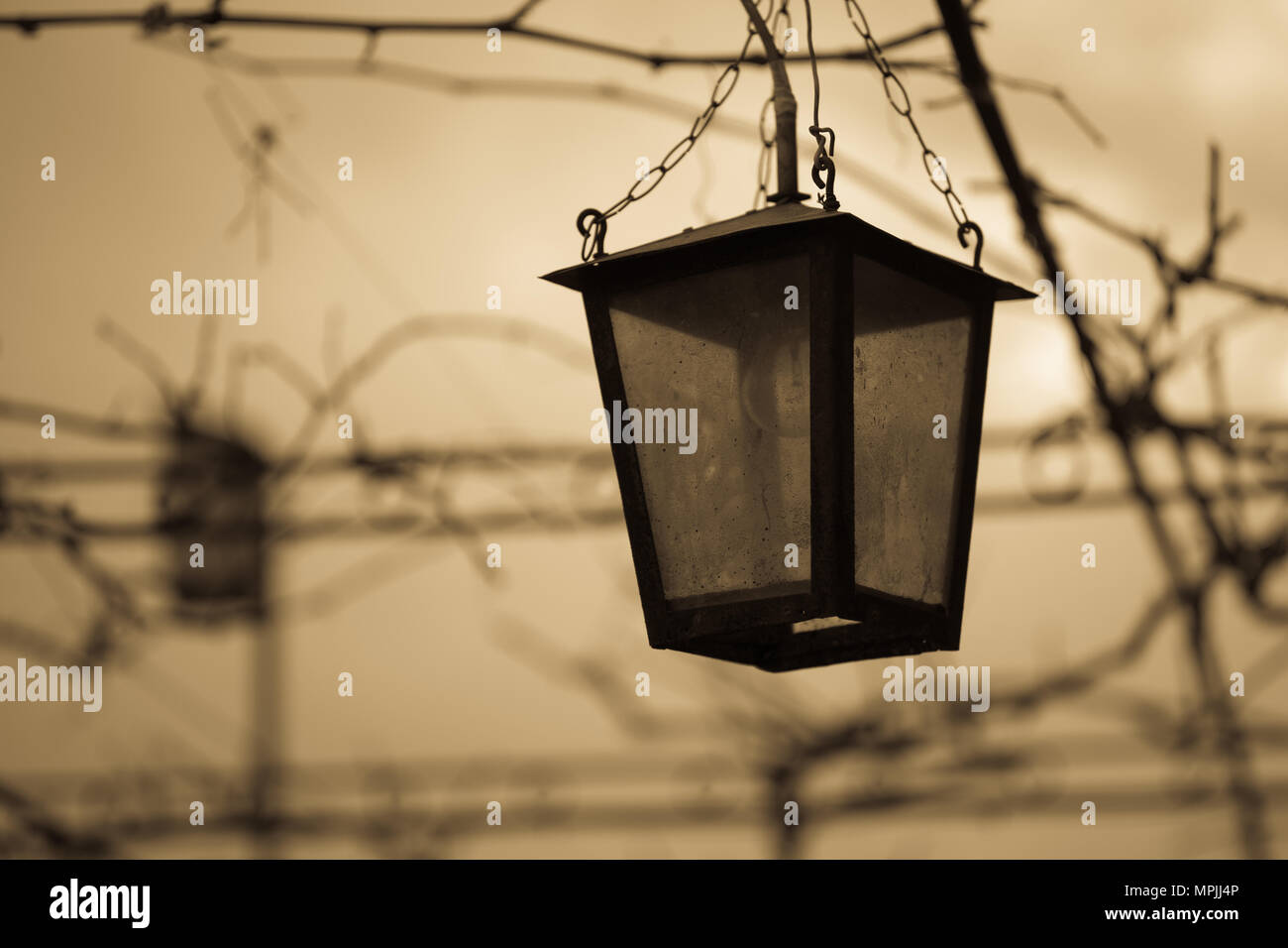 Old lamp on a chain hi-res stock photography and images - Alamy